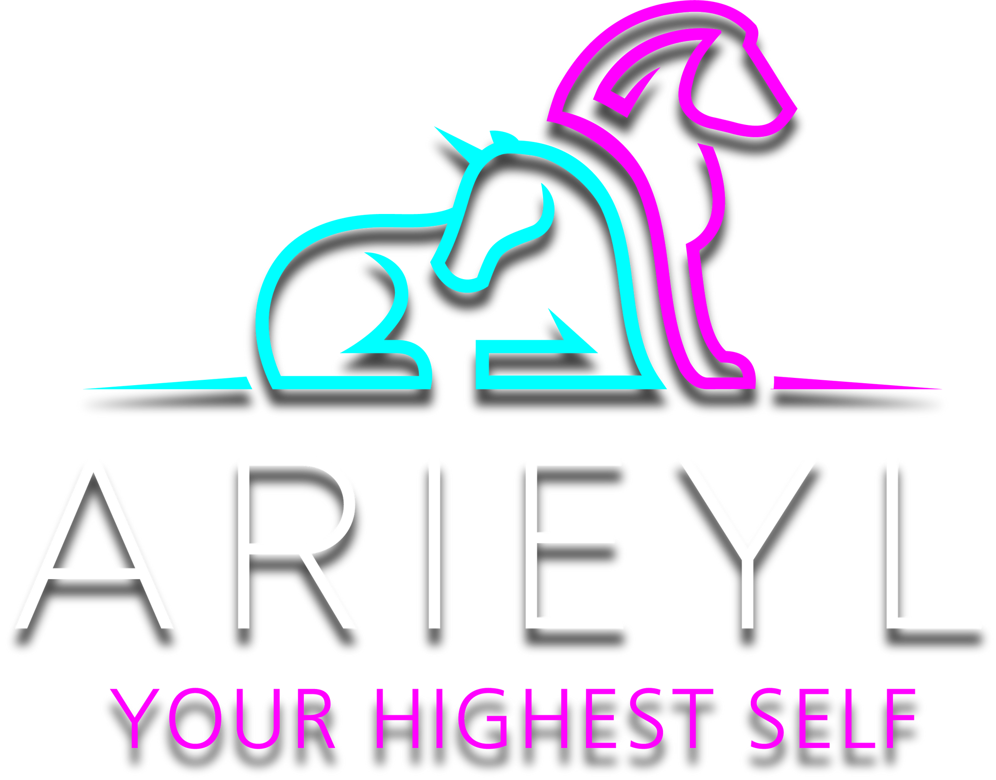 Arieyl Merch